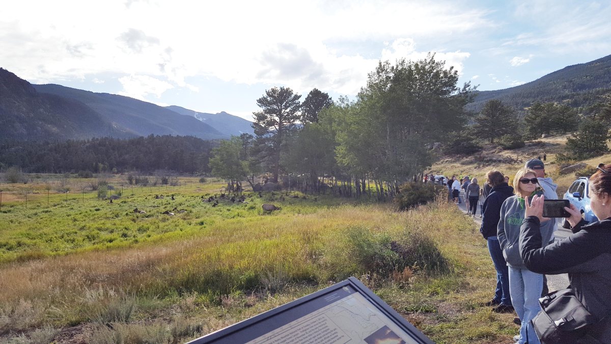 Safe Wildlife Distance Campaign – Free-to-use media files and messages ...